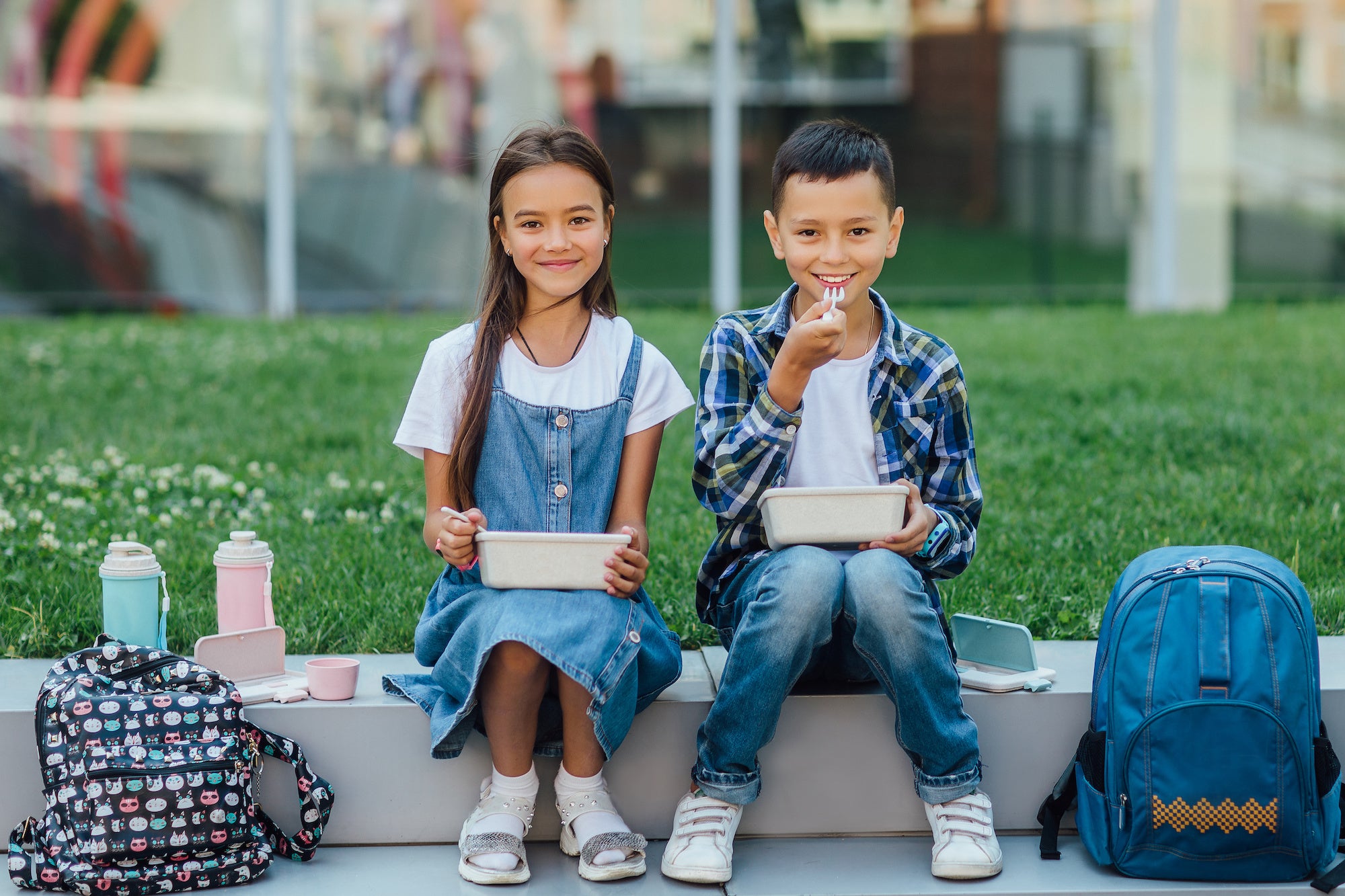 Easy Sugar Free Lunch Box Treats Blog Holy Lama Naturals Easy Sugar Free Lunch Box Treats Blog Holy Lama Naturals